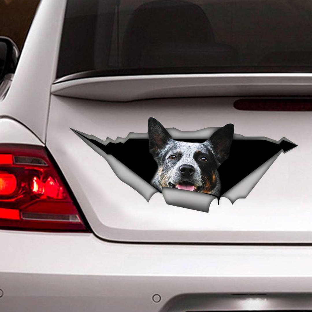 Blue Heeler Car Decal, Blue Heeler Magnet, Blue Heeler Sticker - Etsy