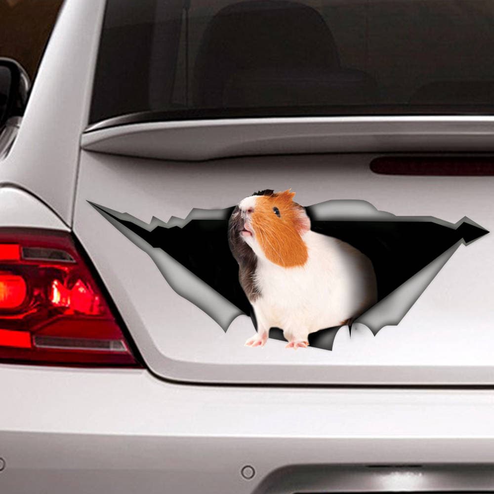 Guinea Pig Sticker Guinea Pig Car Decal Vinyl Decal Car - Etsy