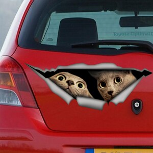Funny Cat Decal, Funny Sticker, Cat Car Sticker, Gray Cat - Etsy
