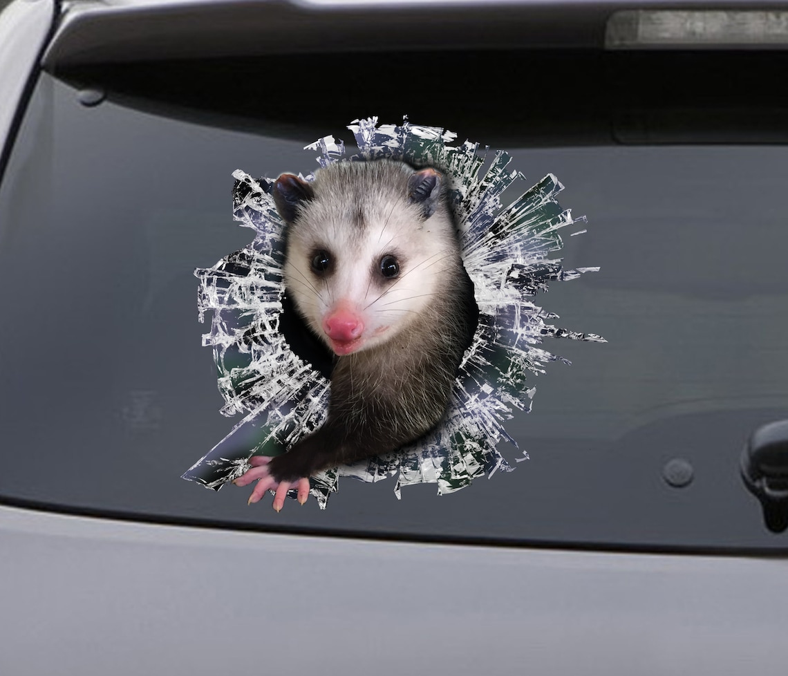 STICKER opossum window sticker car sticker opossum car | Etsy
