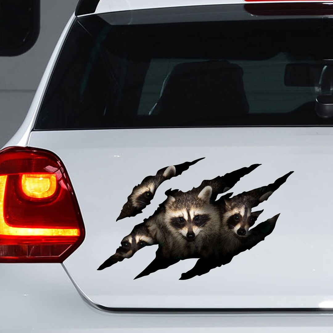 Raccoon Sticker, Raccoon Decal, Raccoon Magnet, Car Decoration, Funny ...