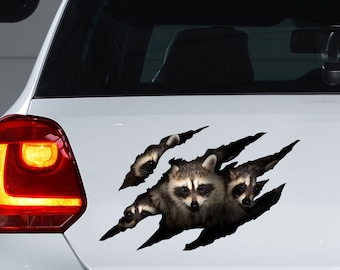 Raccoon Car Magnet - Etsy
