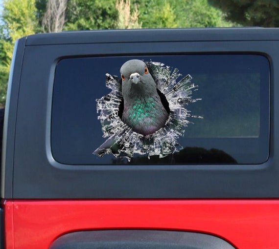 Pigeon Window Sticker Pigeon Car Decal Pigeon Car Sticker | Etsy