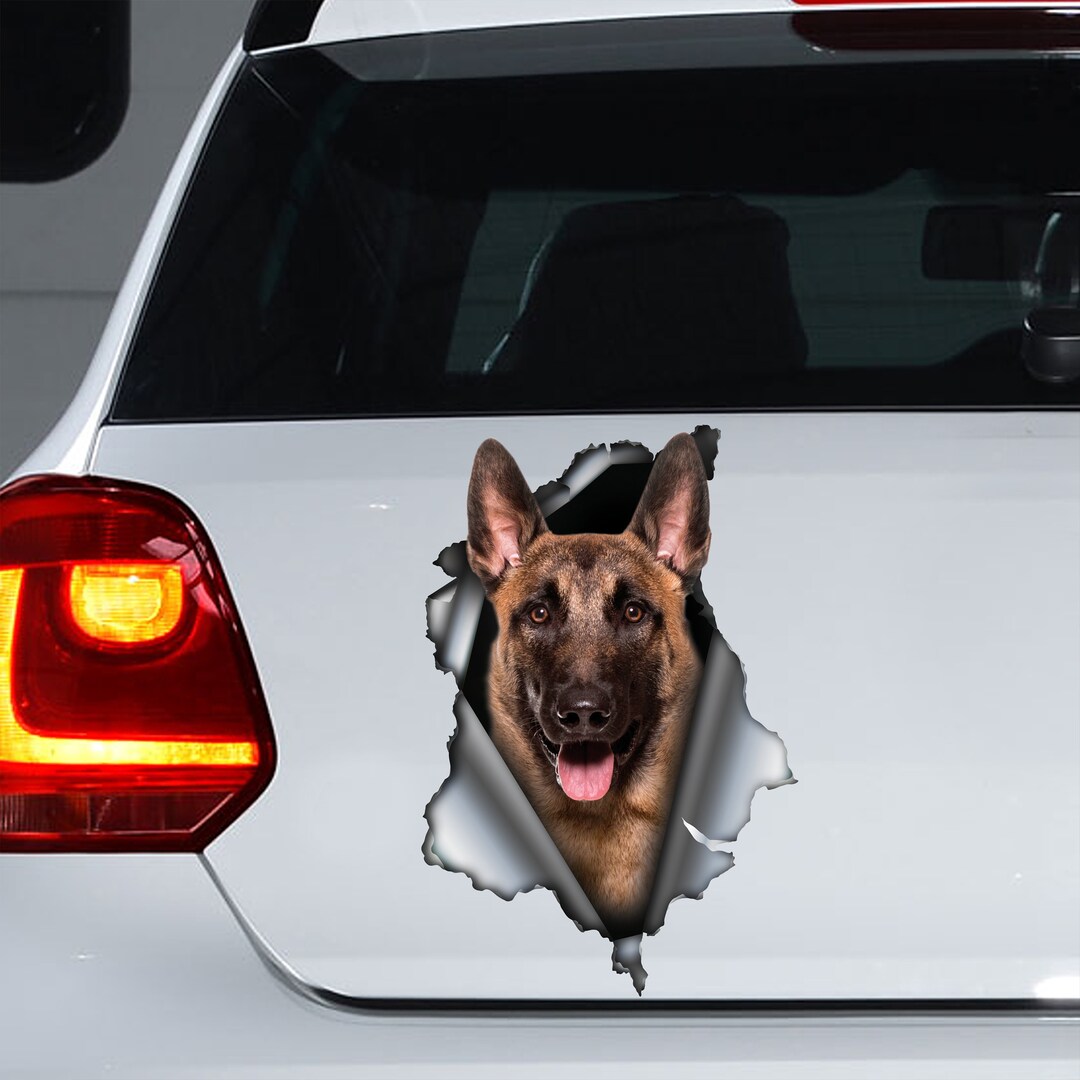 Malinois Dog Decal , Belgian Malinois Magnet, Malinois Sticker, Belgian ...