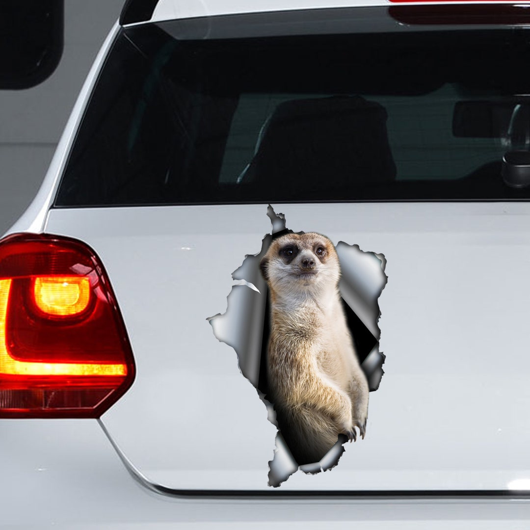 Meerkat Car Decal , Meerkat Magnet, Meerkat Sticker - Etsy