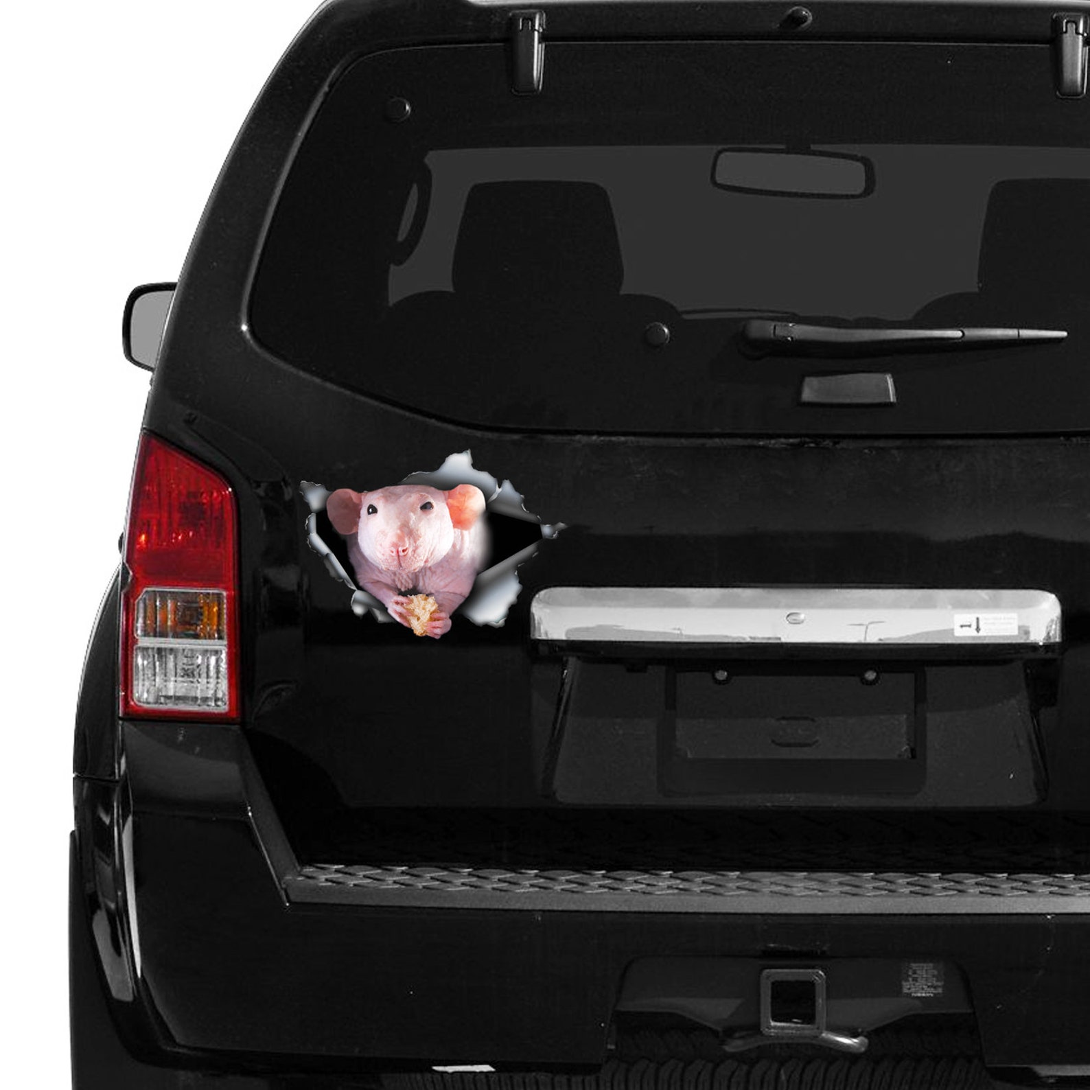 Hairless Rat Car Decal Hairless Rat Magnet Rat Car Sticker | Etsy