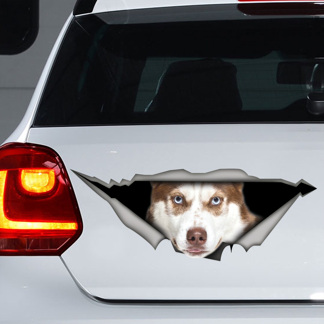 Brown Husky Car Decal , Brown Husky Sticker , Husky Magnet - Etsy