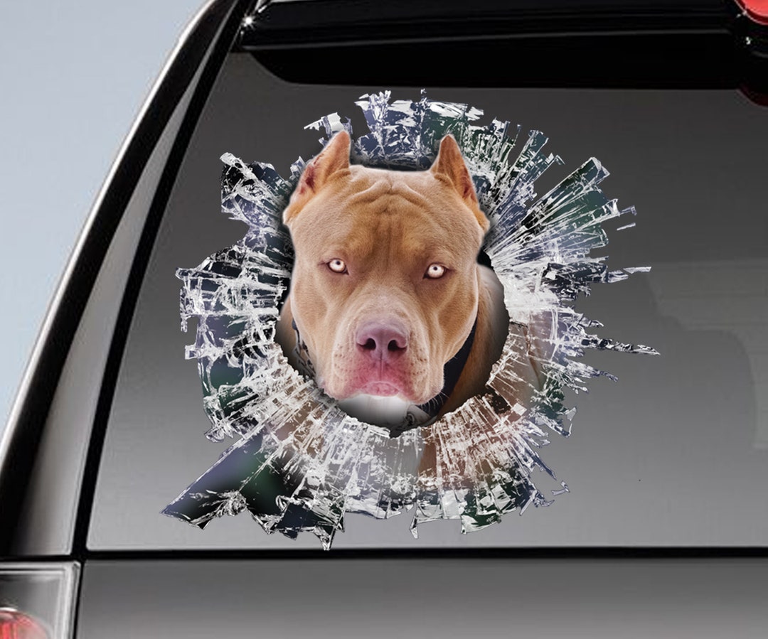 STICKER, Pit Bull Window Sticker, Car Sticker, Pet Car Decal, Funny ...
