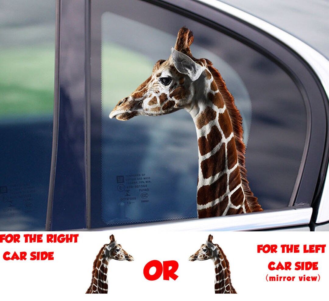 STICKER, Giraffe Window Sticker, Car Sticker, Giraffe Car Decal, Funny ...