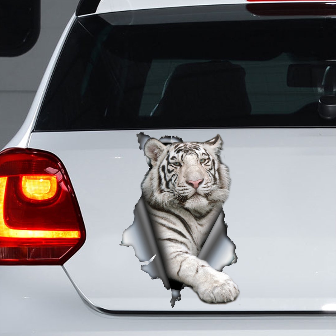 Albino Tiger Car Decal, White Tiger Magnet, White Tiger Sticker - Etsy