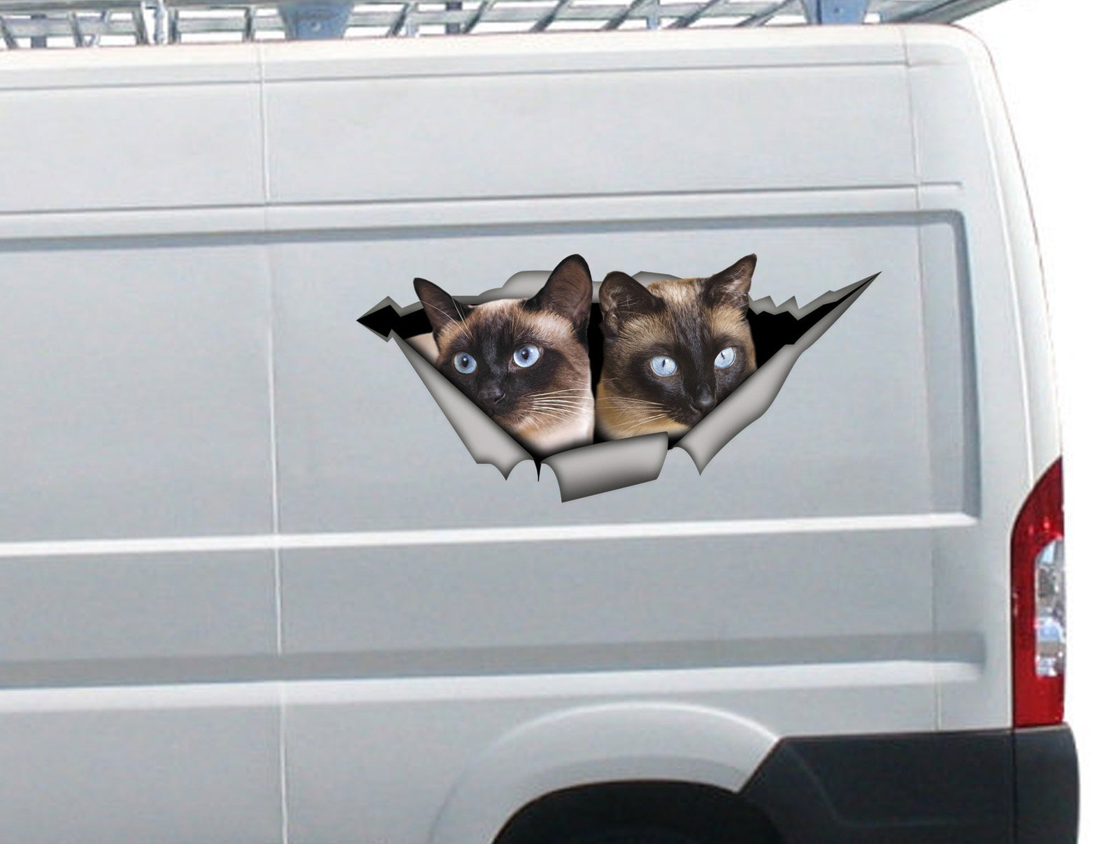 Siamese Cat Magnet Siamese Cat Car Decal Cat Car Sticker - Etsy