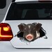 Mini Pig Car Decal Mini Pig Magnet Mini Pig Sticker Pig - Etsy