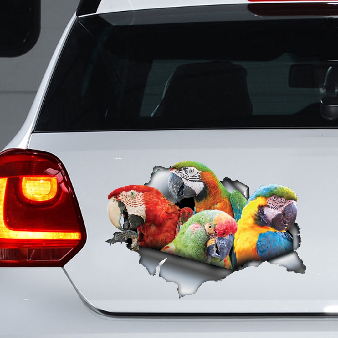 Macaw Car Decal, Macaw Magnet, Macaw Sticker, Parrot Car Decal - Etsy