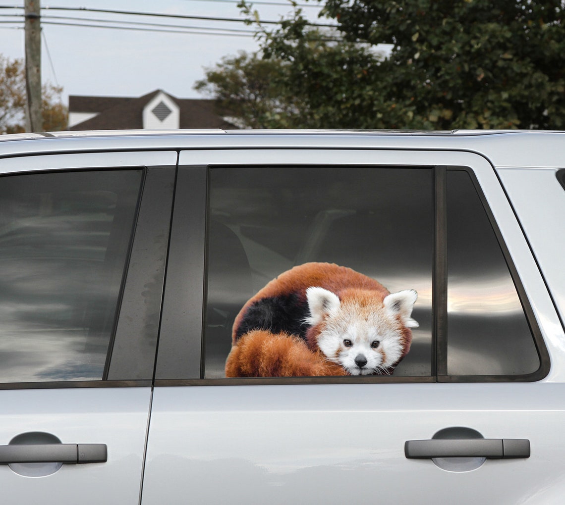 Cute Red Panda Window Decal 3D Sticker Red Panda Sticker - Etsy