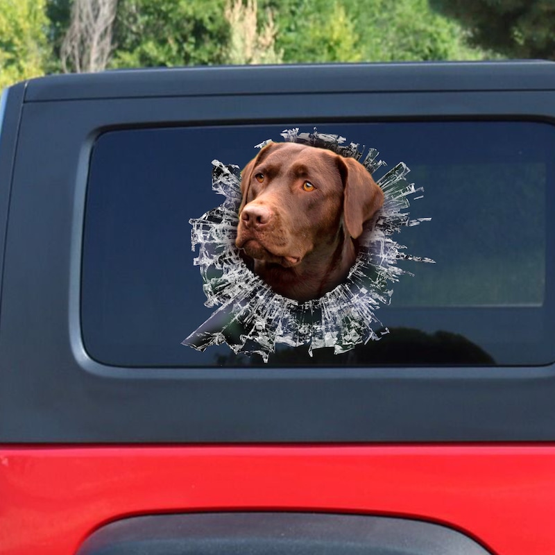 Chocolate Labrador - Etsy