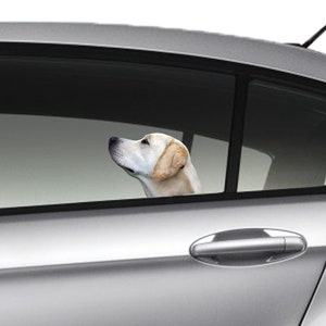 Yellow Lab Car Window Sticker , 3D Sticker, Funny Sticker, Yellow Lab ...