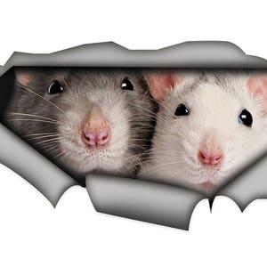Rats Decal Funny Sticker Rats Car Sticker Rat Sticker Pet - Etsy