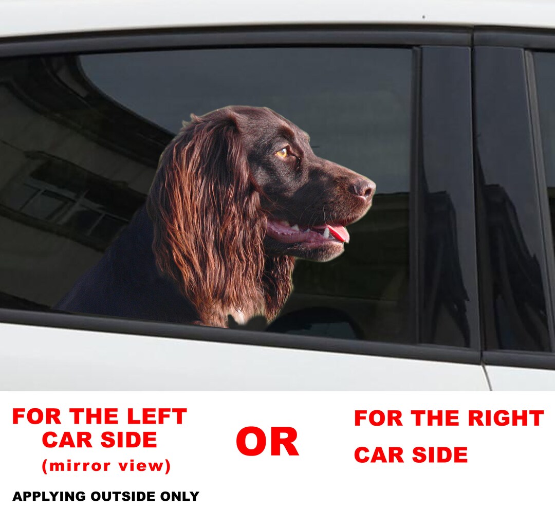 Chocolate Cocker Spaniel Sticker , Chocolate Cocker Spaniel Decal ...