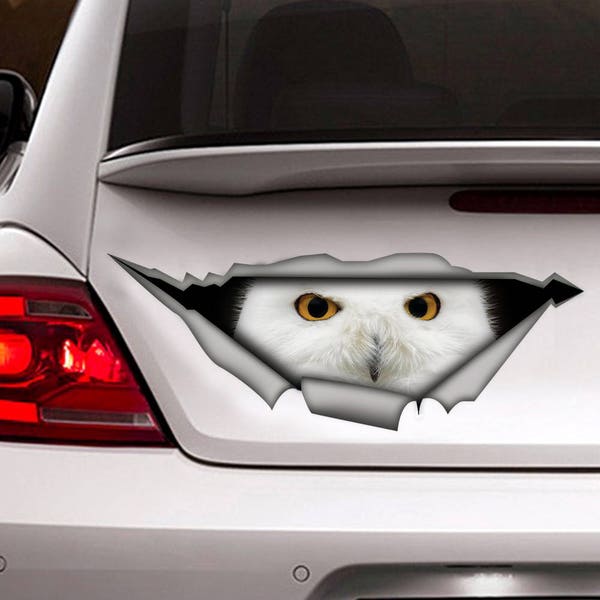 Owl Car Decal - Etsy
