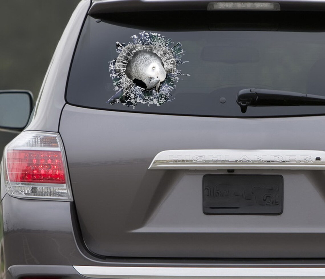 STICKER African Grey Window Sticker Car Sticker Parrot Car - Etsy