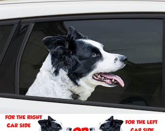 Border Collie Car Decal Border Collie Car Sticker Border - Etsy
