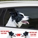Border Collie Window Sticker , 3D Sticker, Border Collie Car Decal - Etsy