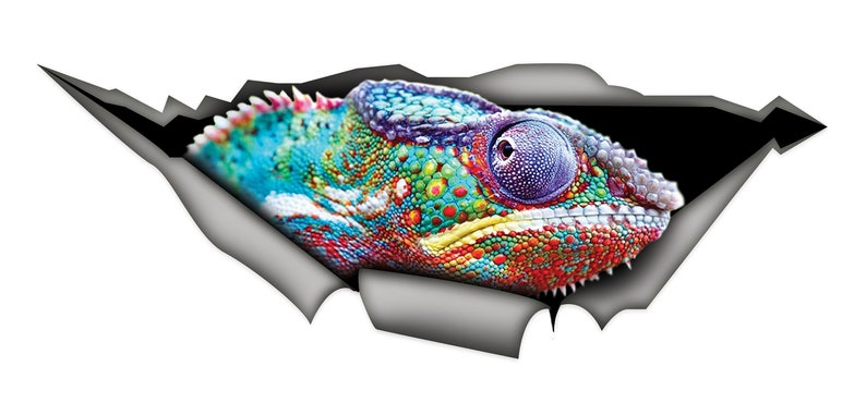 Chameleon Car Decal Reptile Decal Chameleon Sticker - Etsy