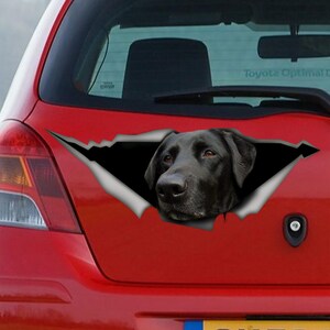 Labrador Decal, Pet Decal Lab Decal, Labrador Retriever Decal, Vinyl ...