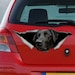 Labrador Decal, Pet Decal Lab Decal, Labrador Retriever Decal, Vinyl ...