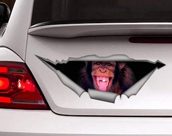 Vinyl Monkey Decal - Etsy