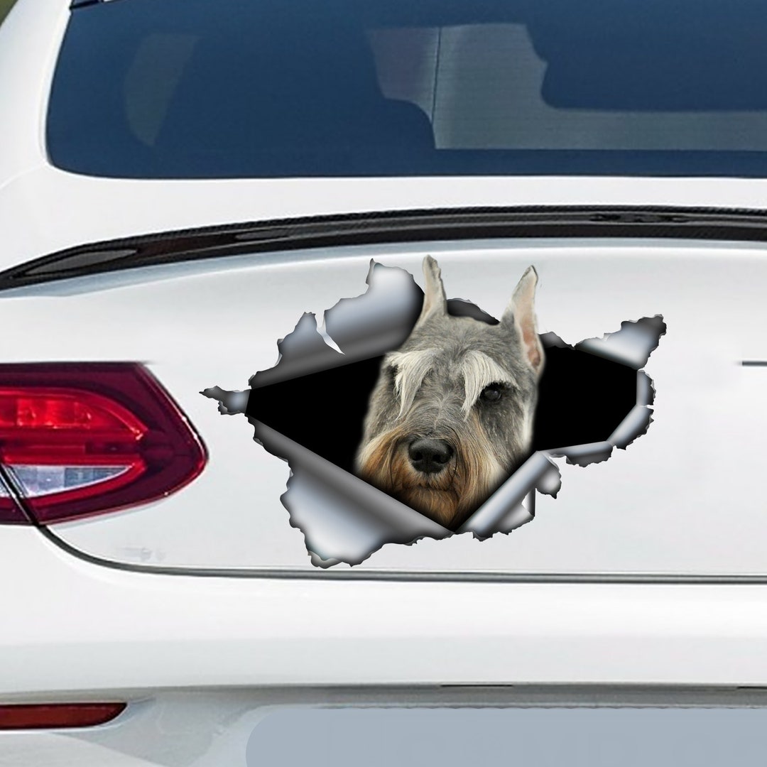 Grey Schnauzer Car Decal , Grey Schnauzer Magnet, Schnauzer Sticker - Etsy