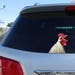 STICKER, Chicken Window Sticker, Car Sticker, Chicken Car Decal, Funny ...