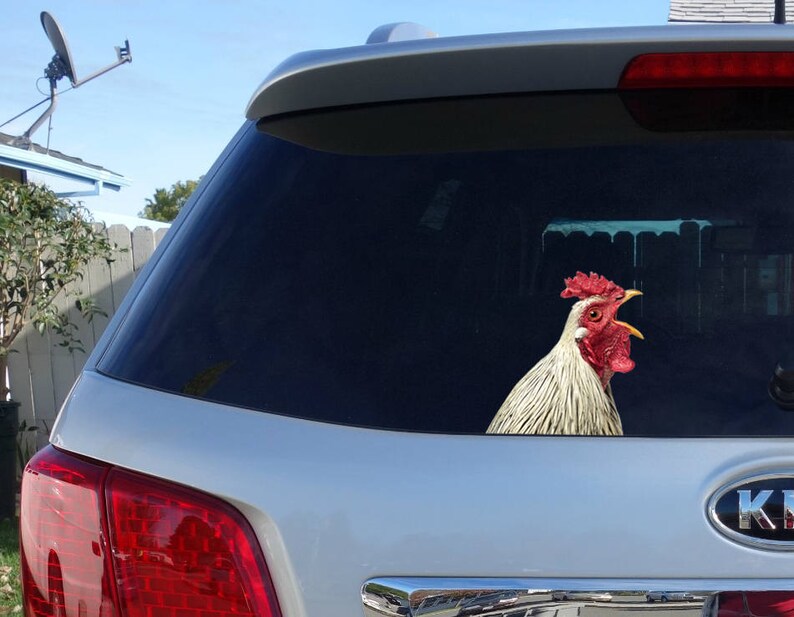 STICKER, Chicken Window Sticker, Car Sticker, Chicken Car Decal, Funny ...