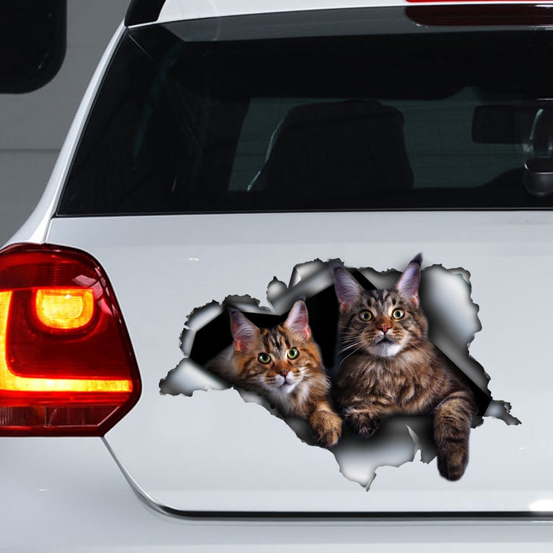 Cats Car Decal Maine Coon Decal Maine Coon Sticker Pet - Etsy