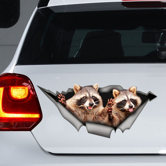 Funny Raccoon Decal Raccoon Sticker Raccoon Magnet Funny | Etsy