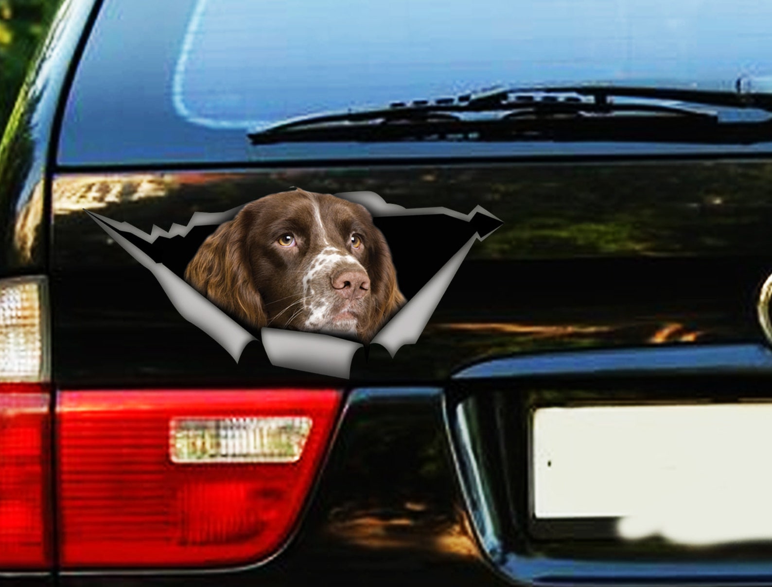 Springer Spaniel Car Decal Dog Car Decal Spaniel Car Sticker | Etsy