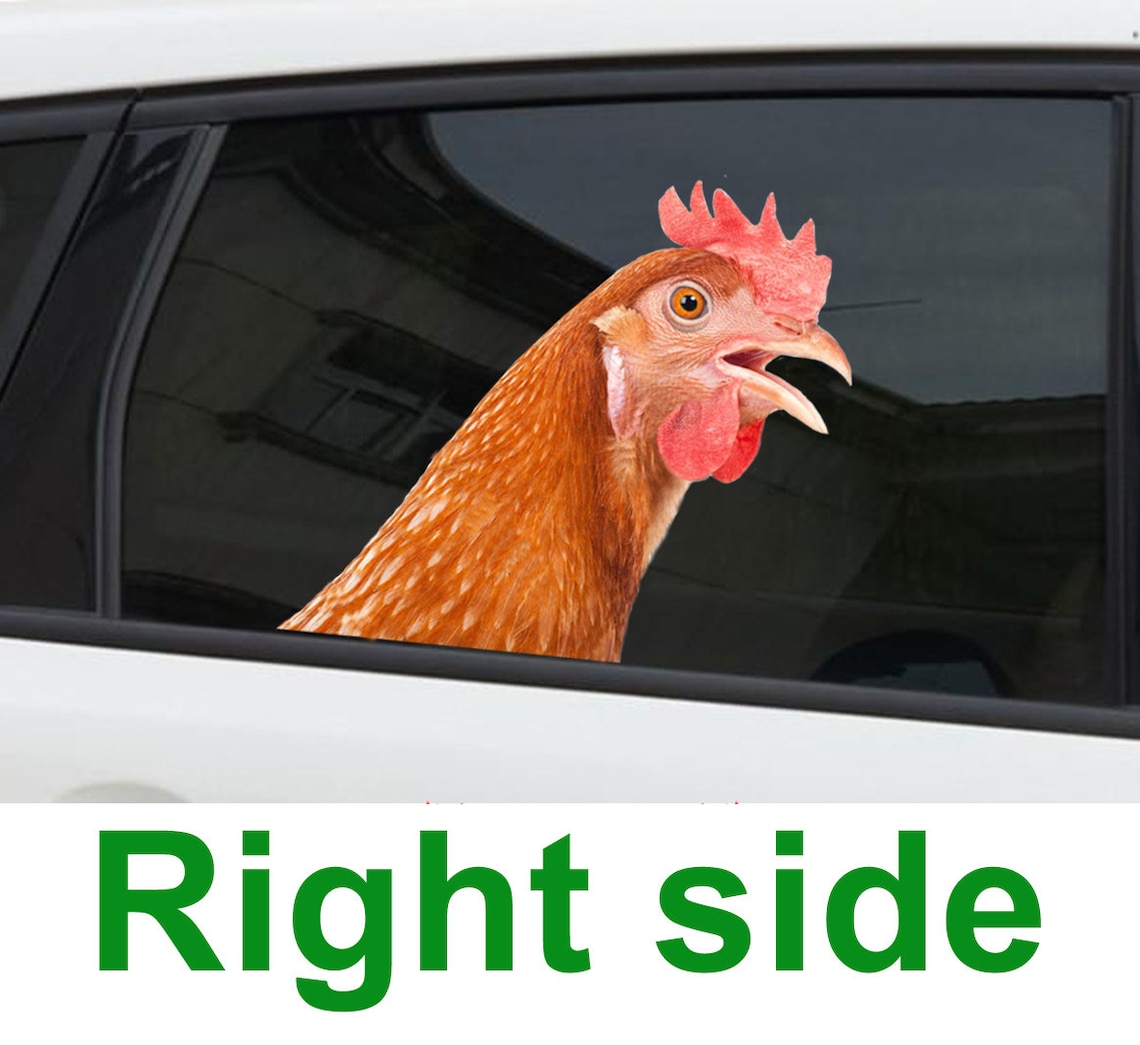 Red Chicken Window Sticker, Car Sticker, Red Chicken Car Decal, Funny ...