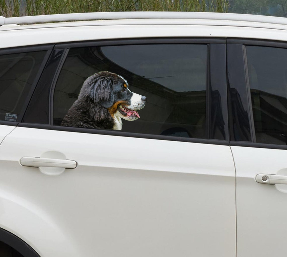 Bernese Mountain Dog Car Window Sticker , 3D Sticker, Bernese Mountain ...