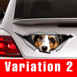 Australian Shepherd car decal Aussie decal car decoration | Etsy