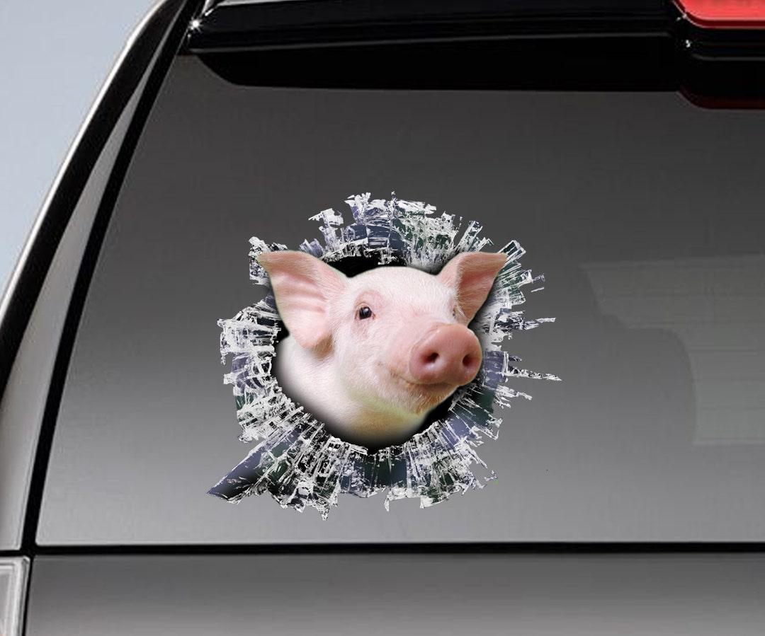 Pig Window Sticker , Window Sticker, Pig Funny Decal - Etsy