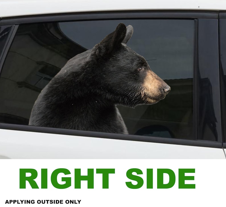 Bear Car Window Sticker 3D Sticker Funny Sticker Black - Etsy