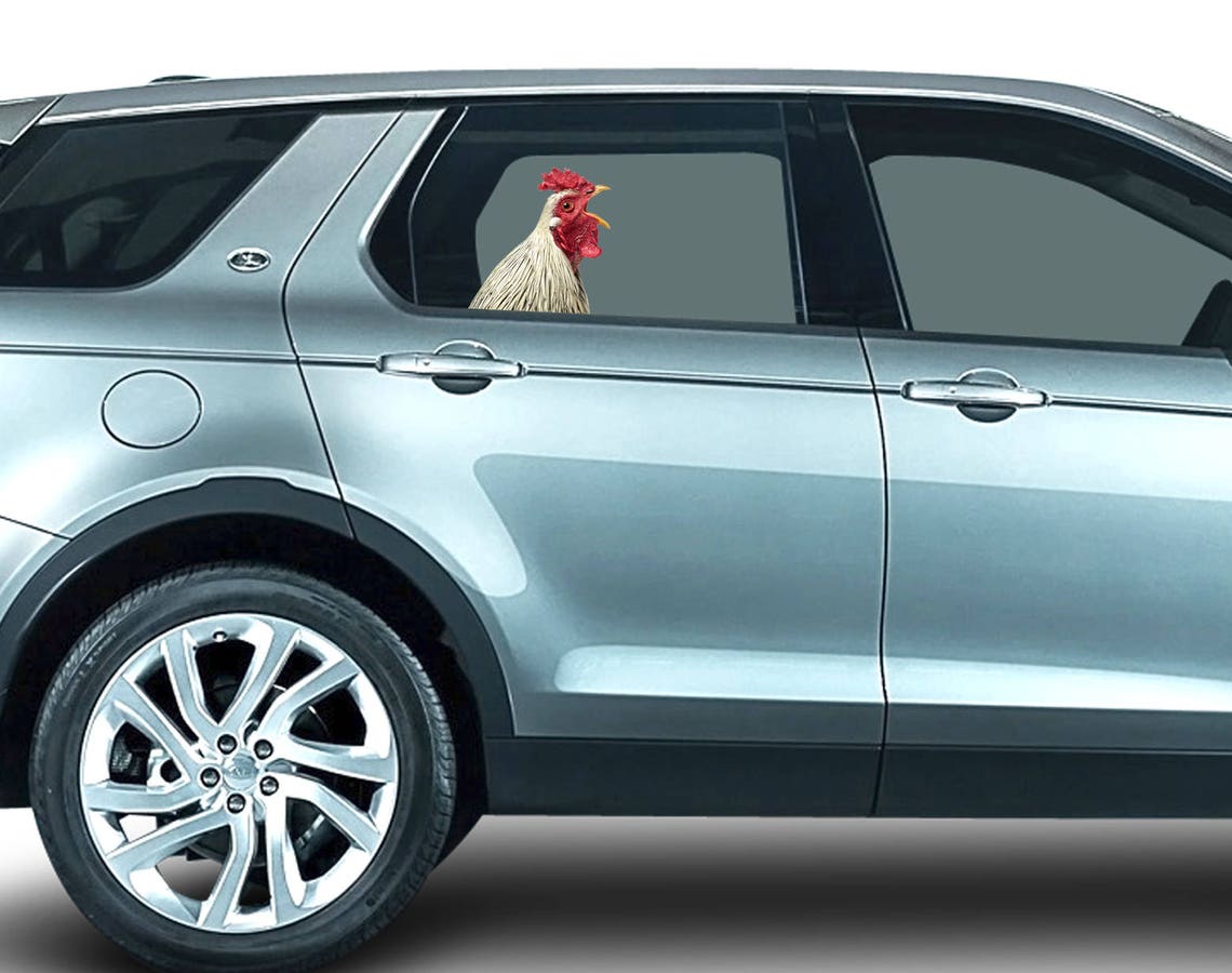 STICKER Chicken Window Sticker Car Sticker Chicken Car - Etsy