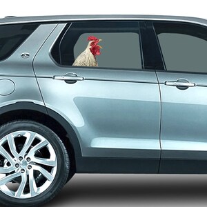 STICKER, Chicken Window Sticker, Car Sticker, Chicken Car Decal, Funny ...