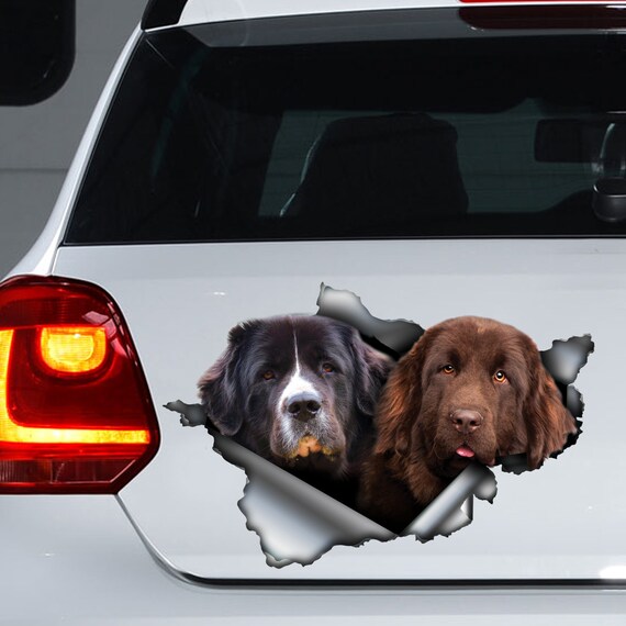 Newfie Car Decal Newfie Magnet Newfoundland Sticker | Etsy
