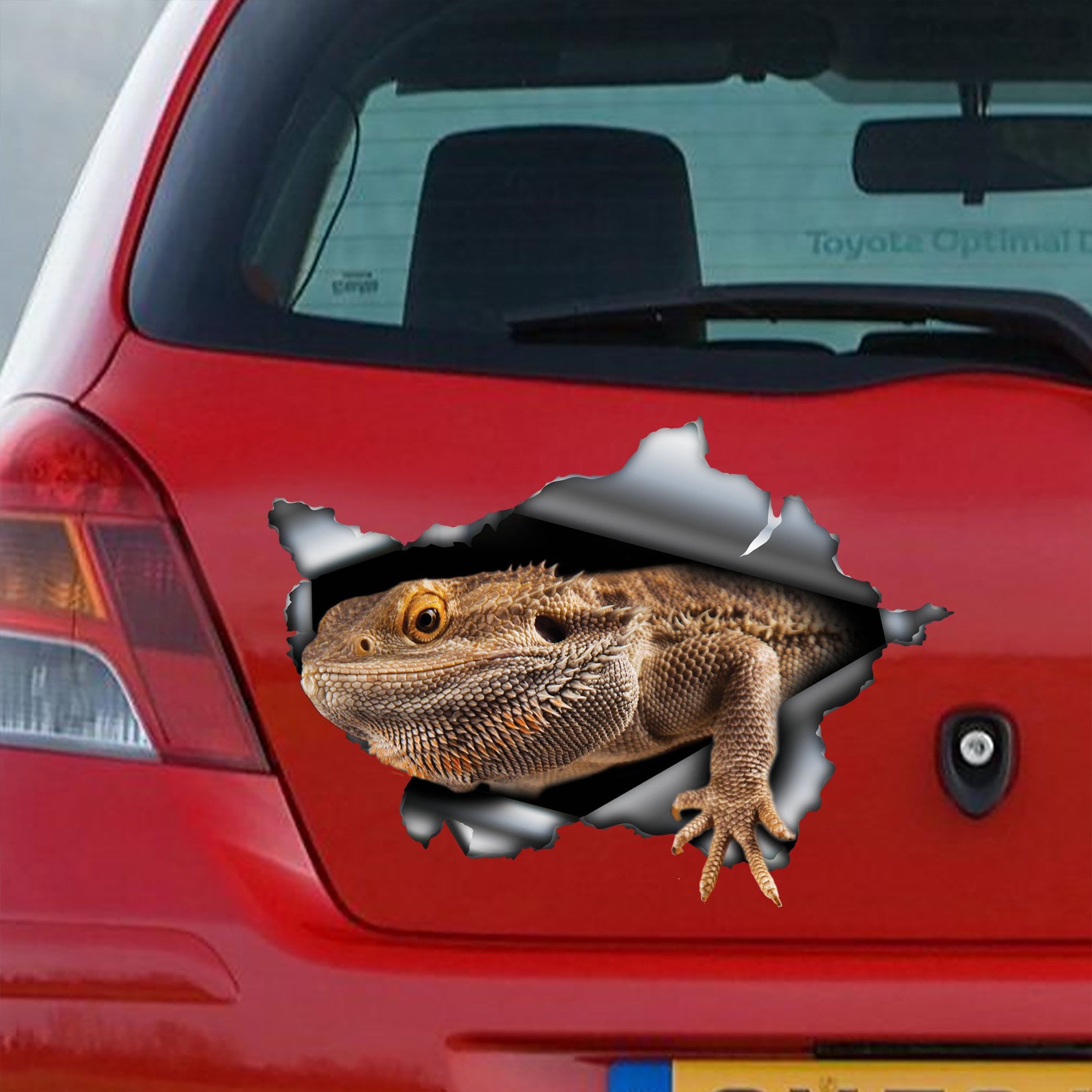 Grey Bearded Dragon Car Decal Beardie Magnet Gray Beardie - Etsy