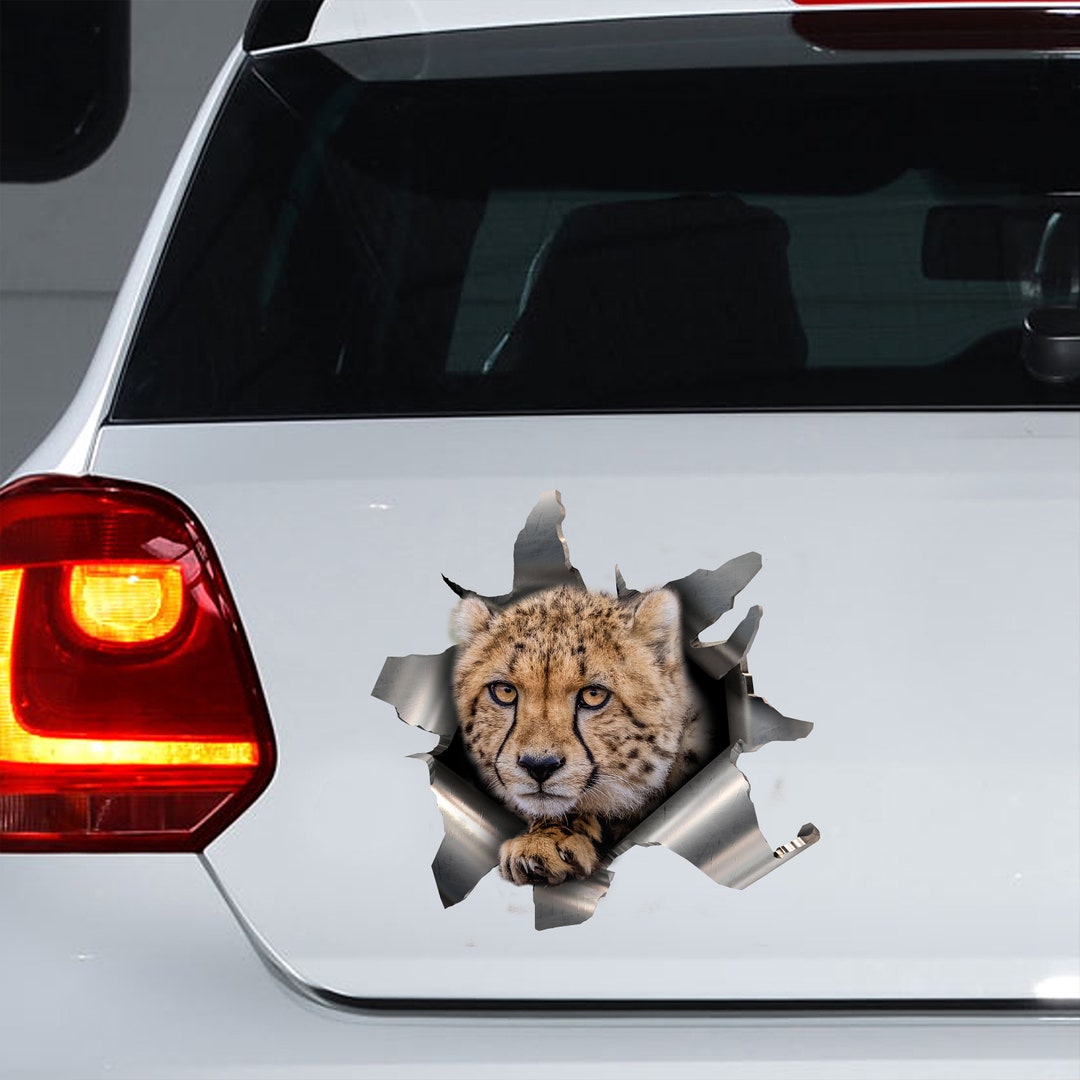 Cheetah Car Sticker Cheetah Decal Cheetah Magnet - Etsy