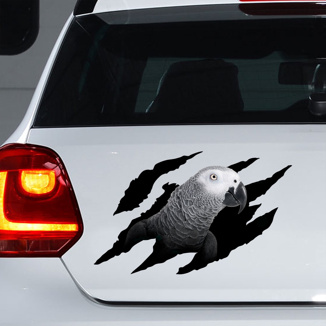 African Grey Sticker, African Grey Decal, African Grey Magnet, Car ...