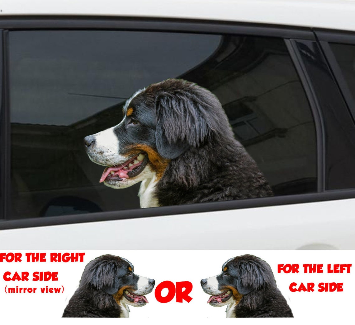 Bernese Mountain Dog Car Window Sticker , 3D Sticker, Bernese Mountain ...