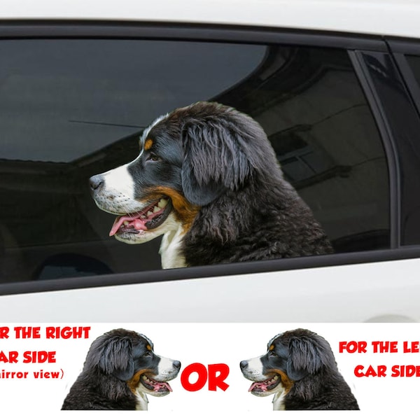 Dog Car Decals - Etsy