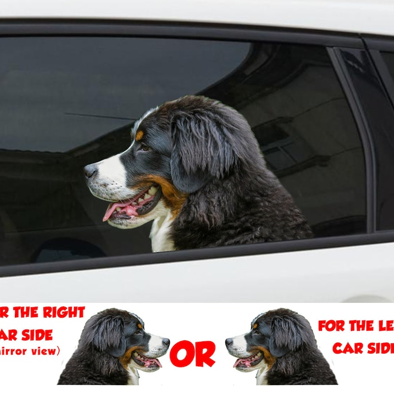 Dog in Window - Etsy